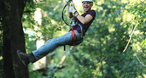 Treetops Adventure: Belgrave Park (Melbourne) | Fever