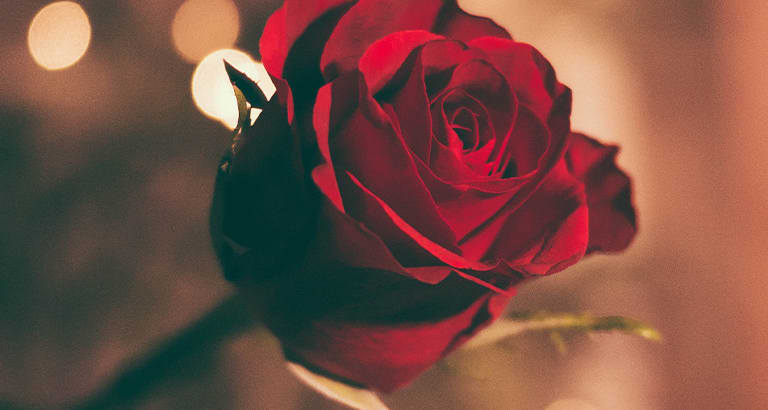 Menu de Saint Valentin à l'Hôtel 1K | Fever