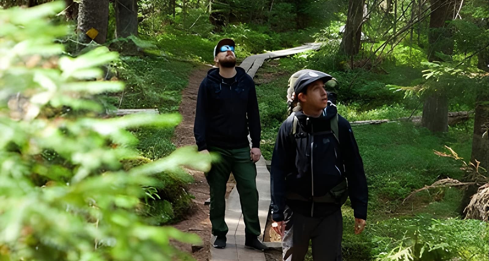 Magical Taiga Forest Hike with Lunch and Transportation (Helsinki ...
