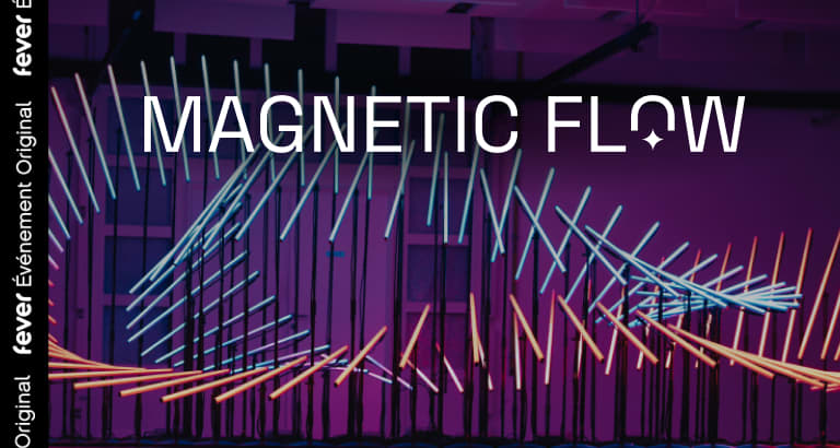 Magnetic Flow : een prachtige beleving met geluid en licht - Brussel ...