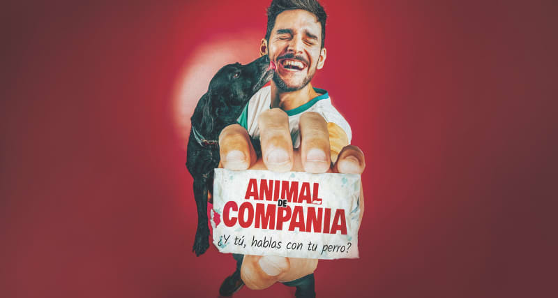 Entradas para Animal de Compañía en Caldes de Montbui | Fever