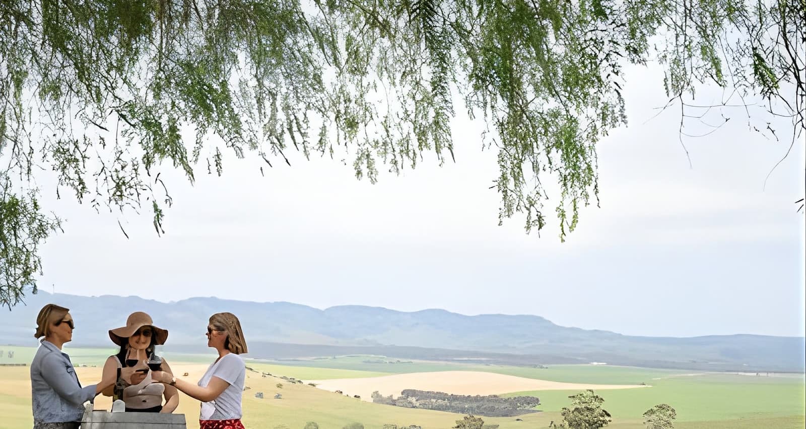 Barossa Valley Food and Wine Tour (Adelaide) Tickets | Fever