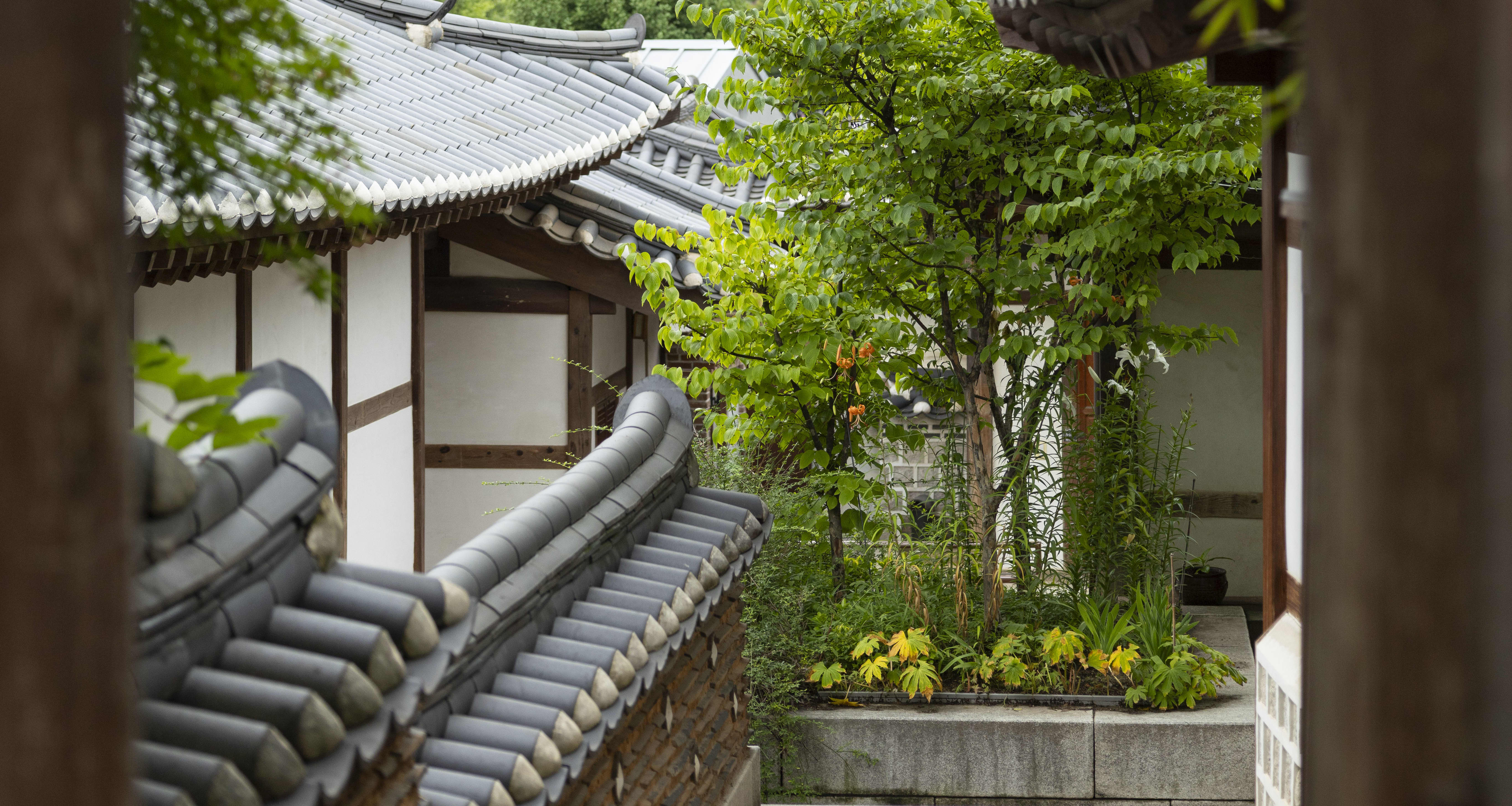 Canon Academy: Photo Picnic - Tickets - Seoul | Fever