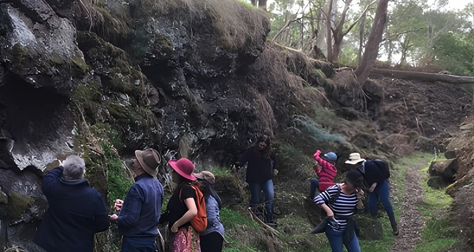 Mount Eccles Volcano – Budj Bim National Park (Victoria) Tickets | Fever