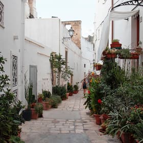 Eventi a Bari: attività e cose da fare - Fever | Fever