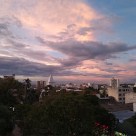 Eventos en Neiva: Experiencias y cosas que hacer | Fever