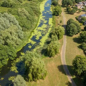 Things to Do in Colchester: Events, Activities and More | Fever