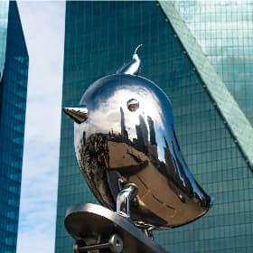 Events in Dallas & things to do | Fever