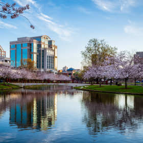 Events & Things to do in Huntsville | Fever