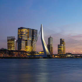 Evenementen in Rotterdam en dingen om te doen | Fever