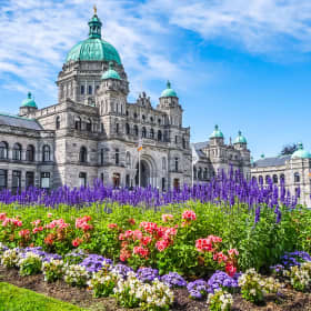 Events in Victoria & things to do | Fever