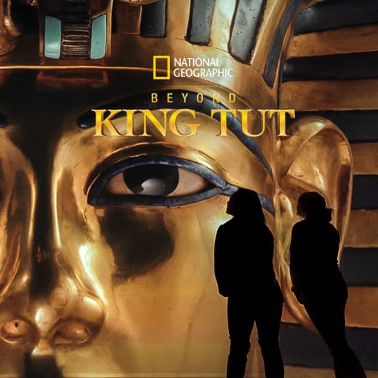 Beyond King Tut: The Immersive Experience - Chicago - Waitlist | Fever