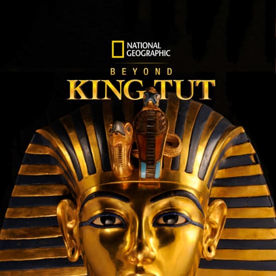 Beyond King Tut: The Immersive Experience: National Geographic ...