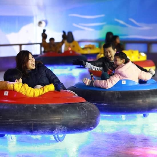 Snow City Singapore Tickets | Fever