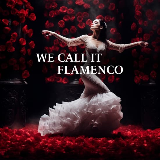 We Call It Flamenco - Roma - Biglietti | Fever