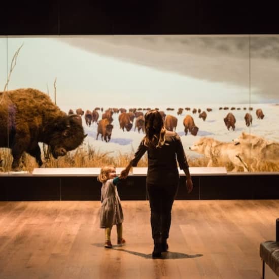 Canadian Museum of Nature Ottawa Tickets | Fever