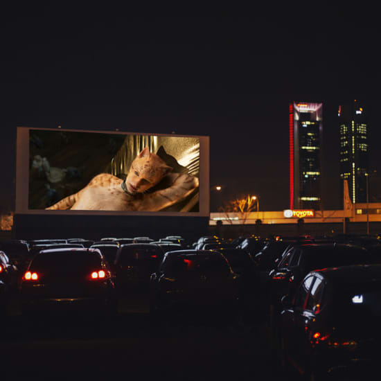 Cats en Autocine Madrid RACE - Madrid | Fever