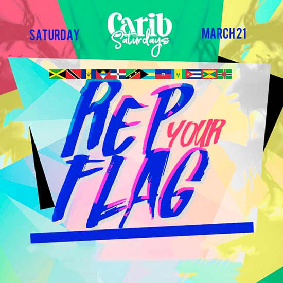 Rep Your Flag: Caribbean vs. Afrobeats at Sound of Brazil - New York ...