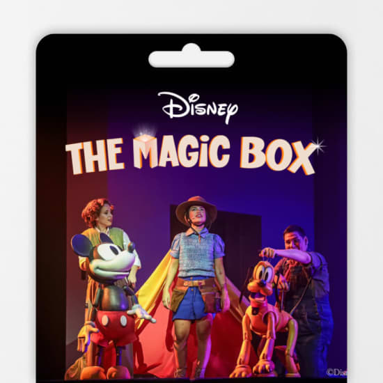 Disney The Magic Box Gift Card Johannesburg Fever