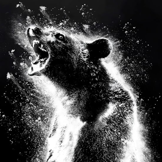 Vicious Bear tickets at | Fever