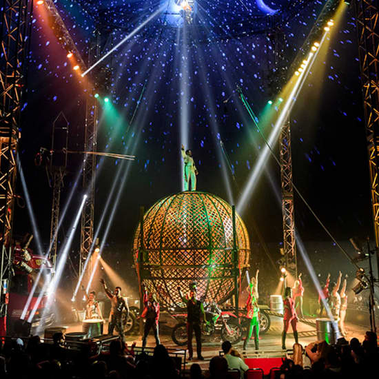 Circus Extreme Brighton - Brighton | Fever