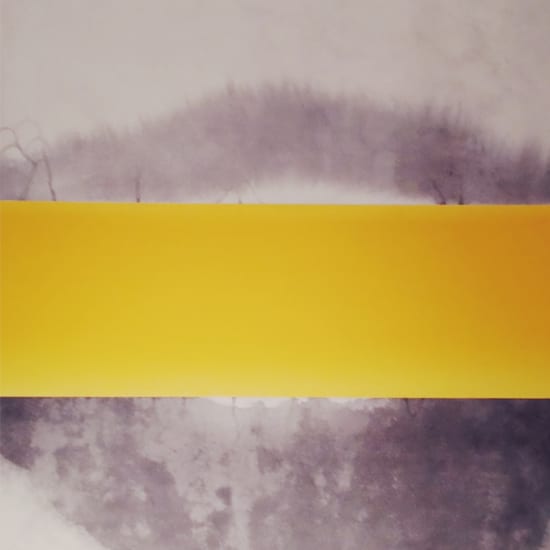 Art Gallery Tour - New York | Fever