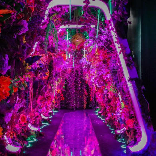 INTER_ Art Experience: tech-enabled art! New York Tickets | Fever