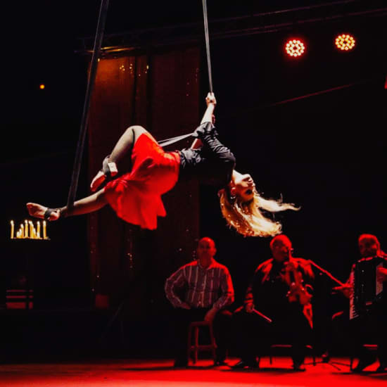 La Trapéziste des Anges au Cirque Romanès - Paris | Fever