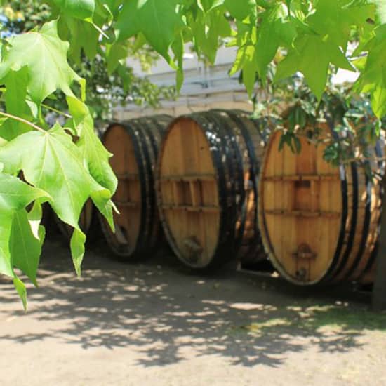Concha y Toro Marques Vineyard Santiago Tickets | Fever