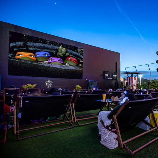 Teenage Mutant Ninja Turtles presented by Rooftop Movies | Fever