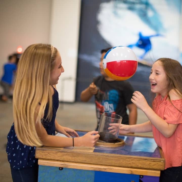 Events & Things to Do in San Diego today | Fever