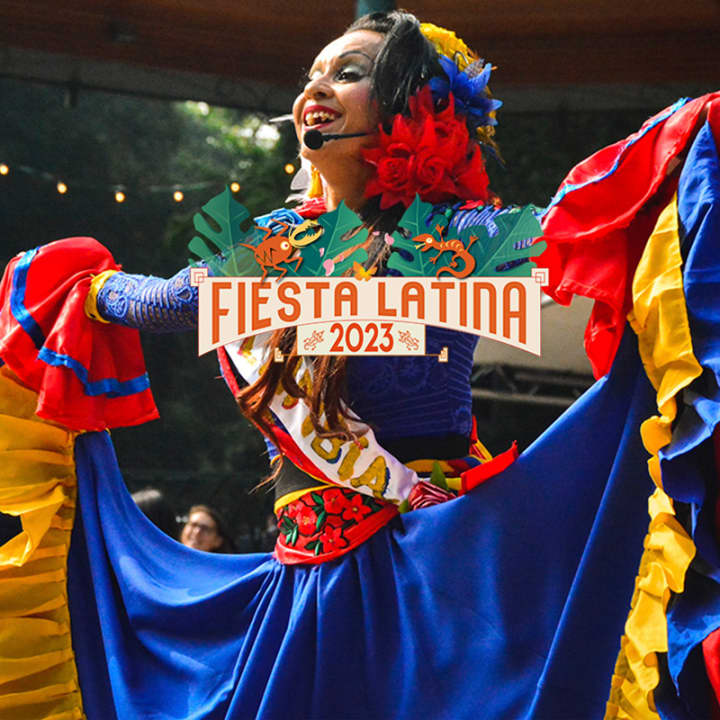 Top 10 leukste evenementen in Brussel in 2023 | Fever