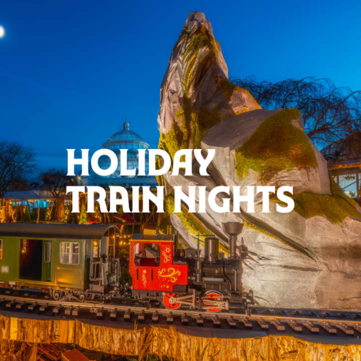 Here’s How To Snag Tickets To Holiday Train Nights at NYBG