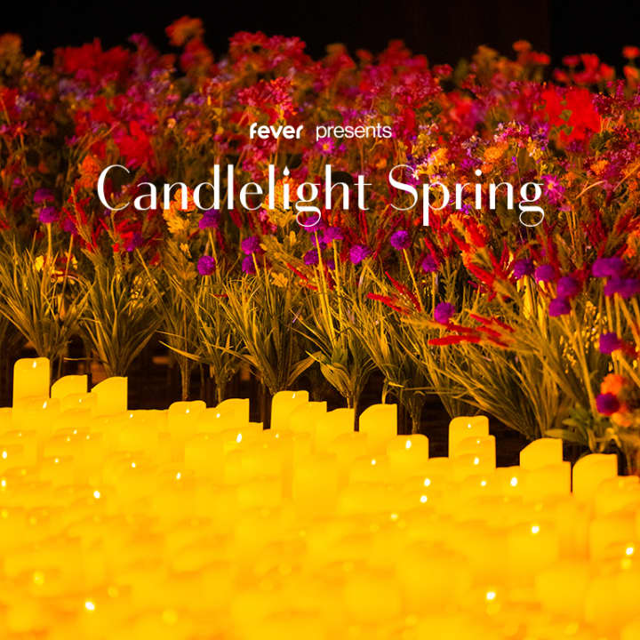 Candlelight Spring Rochester: Coldplay & Imagine Dragons - Rochester ...