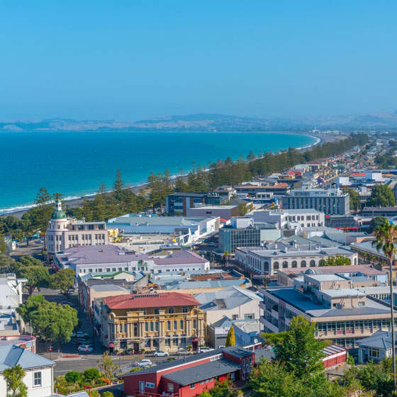 Events in Napier & things to do | Fever