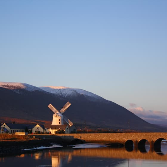 Events in Tralee & things to do | Fever