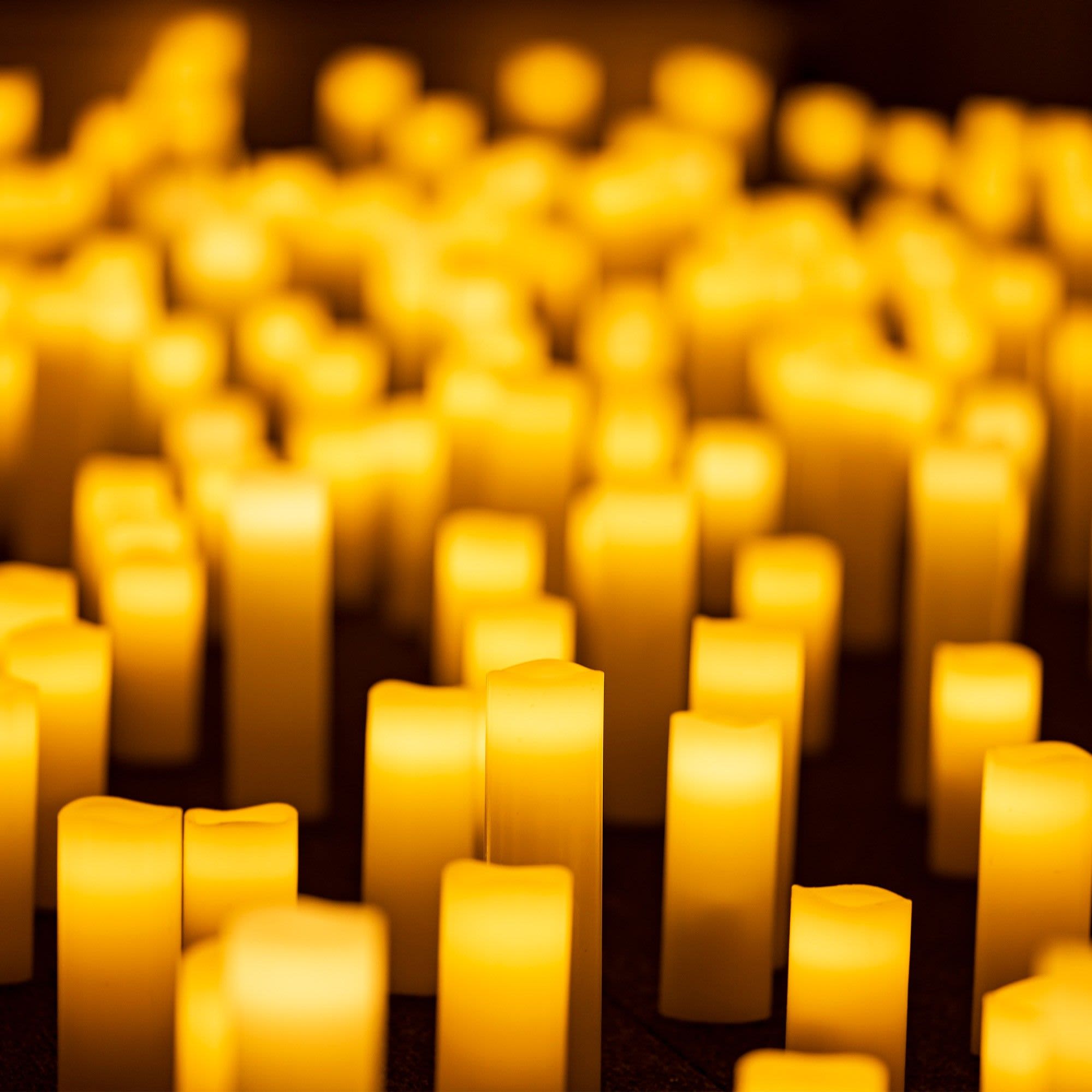 🎻 Candlelight Concerts - Glasgow | Fever