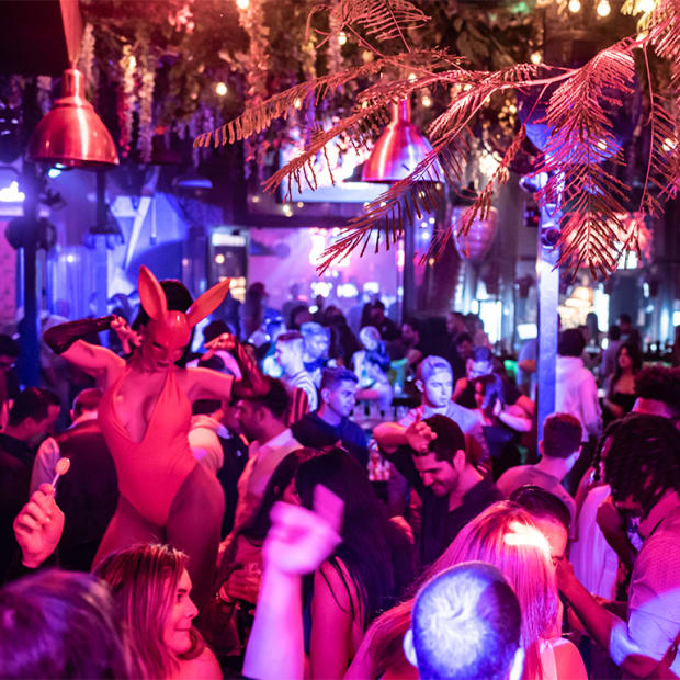 The Dirty Rabbit Wynwood - Tickets | Fever